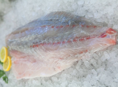 Boar Fish Fillets 500g | Adelaide's Finest Supermarkets